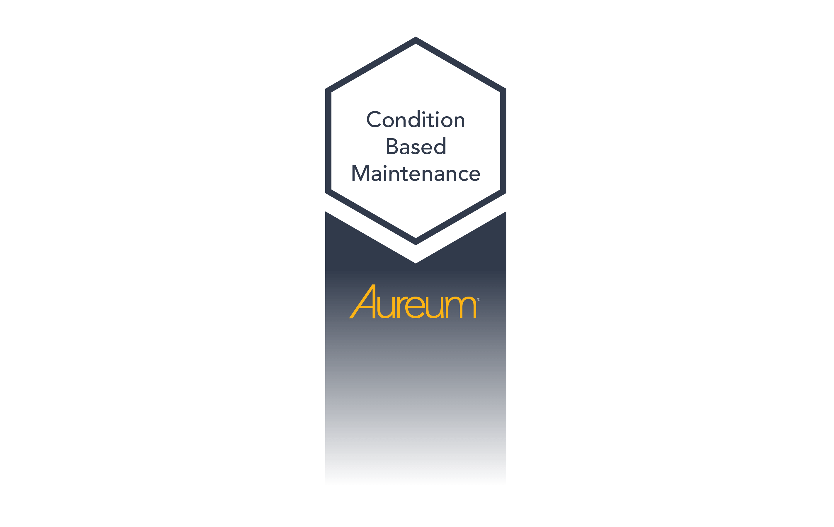 Condition Based Maintenance